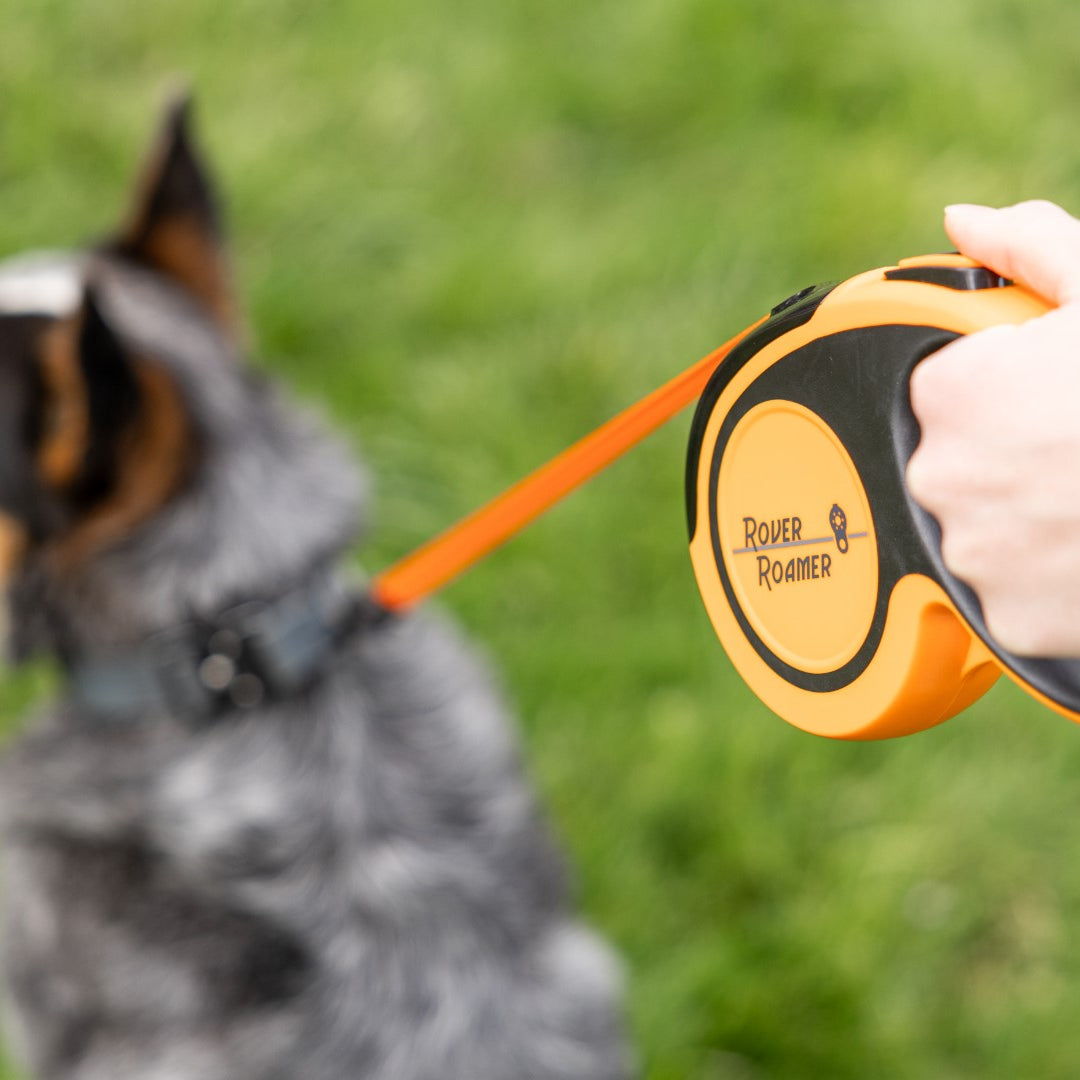 Rover Roamer | Sky Track Aerial Dog Runs – ROVER ROAMER